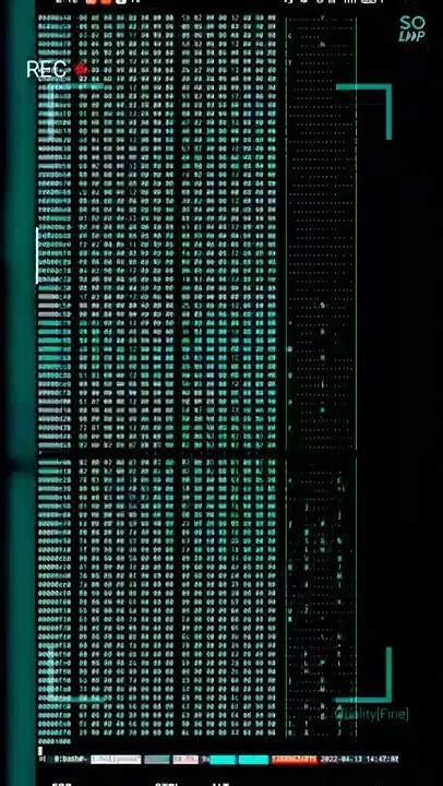 Termux Shorts Ytshorts Termux Hacking Shorts Python Status