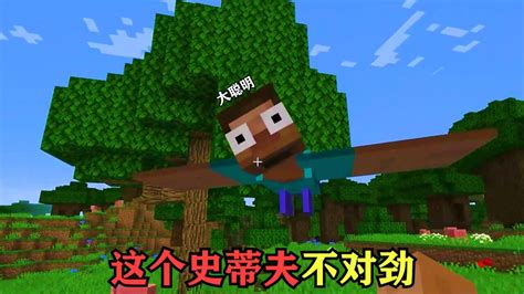 我的世界：论史蒂夫如何变成大聪明！高清1080p在线观看平台腾讯视频