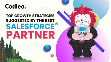 Grow Your Business Top Salesforce Partner Strategies
