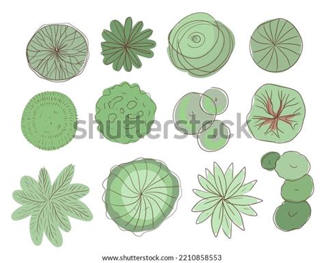 487 Tree 2d Plan Images Stock Photos Vectors Shutterstock