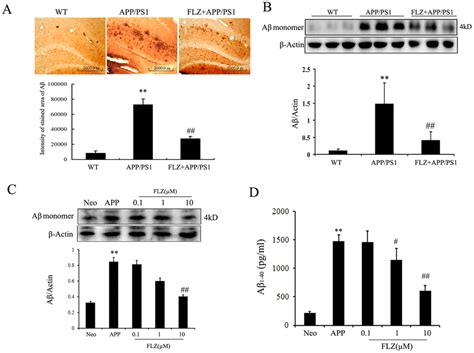 Flz Inhibited Ab Production In App Ps1 Mice And Sh Sy5y Appwt Swe Download Scientific Diagram