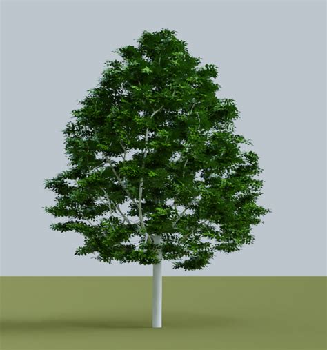 Small Blender Things Realistic Trees In The Middle Distance