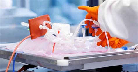 La Ue Inicia La Revisión De La Vacuna De Bavarian Nordic Contra La