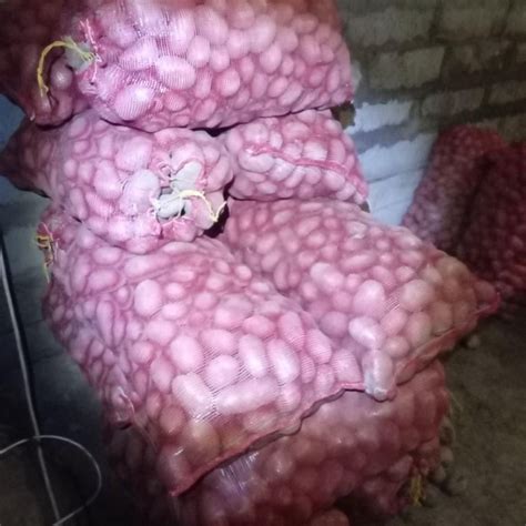 Картофель купить в Арсеньеве цена 55 руб истекает сегодня в 7 41 Продукты питания