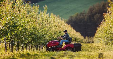 과수원에서 야외에서 미니 트랙터를 운전하는 성숙한 농부의 측면도 사진 Unsplash의 나무 이미지