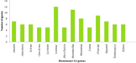 Total Number Of Macrofungal Species Distributed Into Different Genera