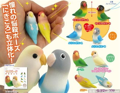 《鸚鵡扭蛋》陸續發售中，鳥控絕不能錯過的怪異品種「香蕉鸚鵡」！ 台論之星