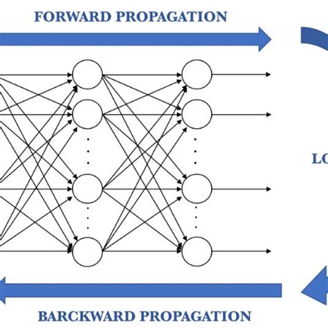 Back Propagation Procedure 8 Download Scientific Diagram