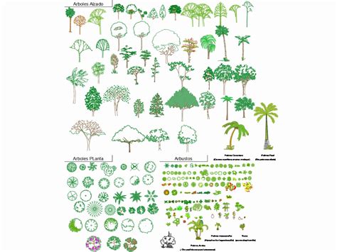 Types Of Trees In AutoCAD Download CAD Free MB Bibliocad