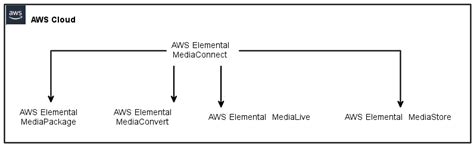 Introduction To Aws Elemental Mediaconnect Stackpioneers