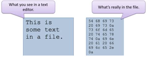 CSC230 Exam 2 Flashcards Quizlet