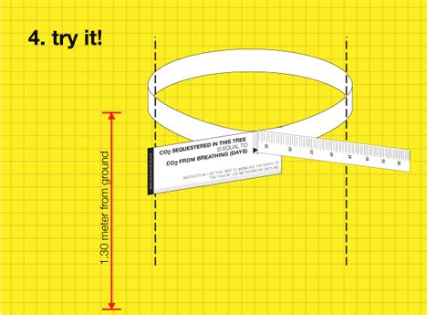 Tree Tape By Nitipak Samsen Dezeen
