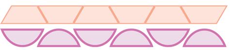 Ncert Solutions Class 4 Maths Chapter 10 Play With Patterns Free Pdf