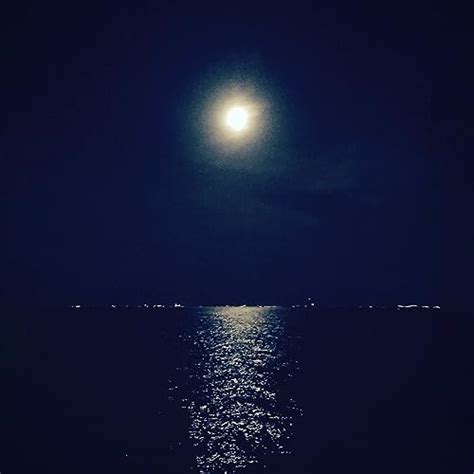 Jp ツキノヒカリ Merei デジタルミュージック