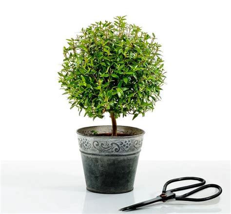 Пин на доске Идеи для дома