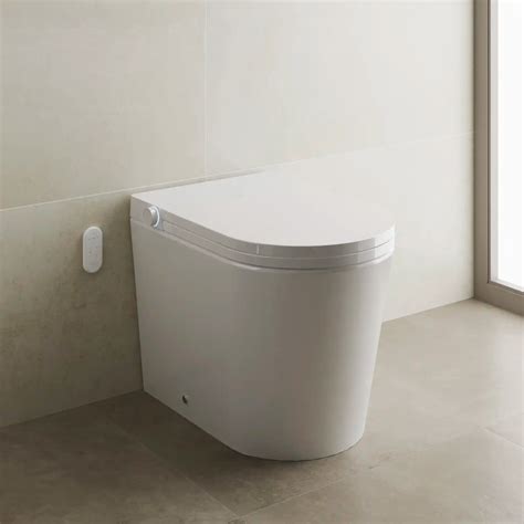 Principales Tipos De Sistema De Bidet Para Inodoros
