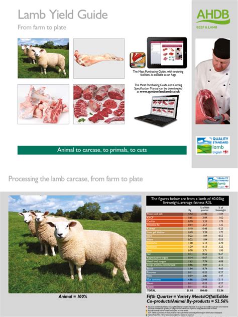 Lamb Yield Guide Pdf