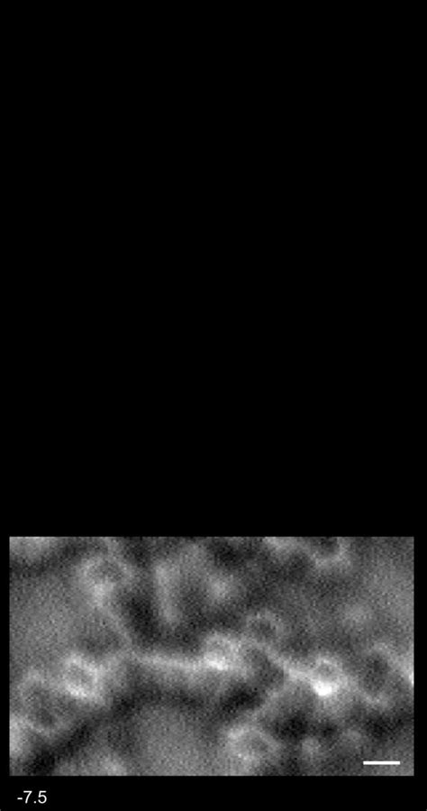 Schematic Drawing Of The Suggested Coupling Schemes Leading To The