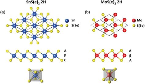 Atomic Structure Of A Monolayer Of A Sns2 Snse2 And B Mos2 Mose2 Download Scientific