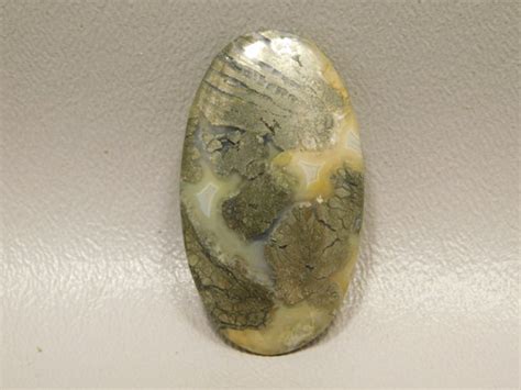 Cabochons Nipomo Agate California Stone I Barlows Gems