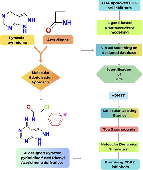Schematic Representation Of The Present Workflow Download Scientific