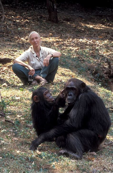 The Work Continues The Jane Goodall Institute Carrying Forward Janes