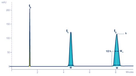 Fundamental Notions Of Chromatography