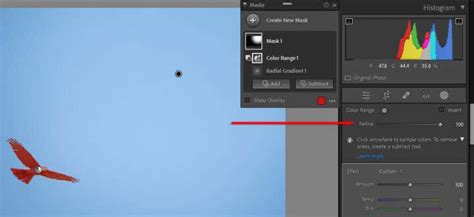 10 Lightroom Editing Tips To Improve Your Skills