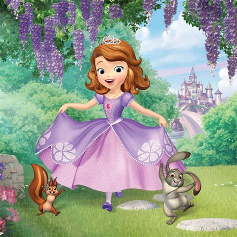 Princesa Sofia Painel Para Festa Festa Princesa Sofia