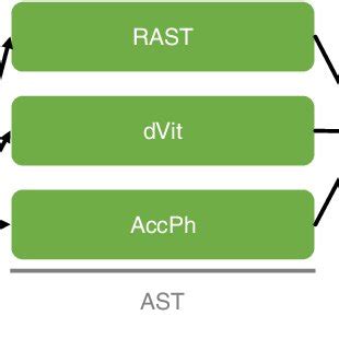 Evaluation Workflow Schematic Representation Of Sample Processing Download Scientific Diagram