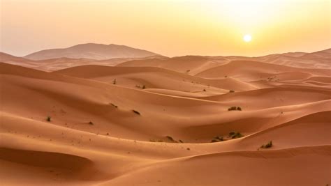 Video Of Snow In The Sahara The Hottest Desert In The World