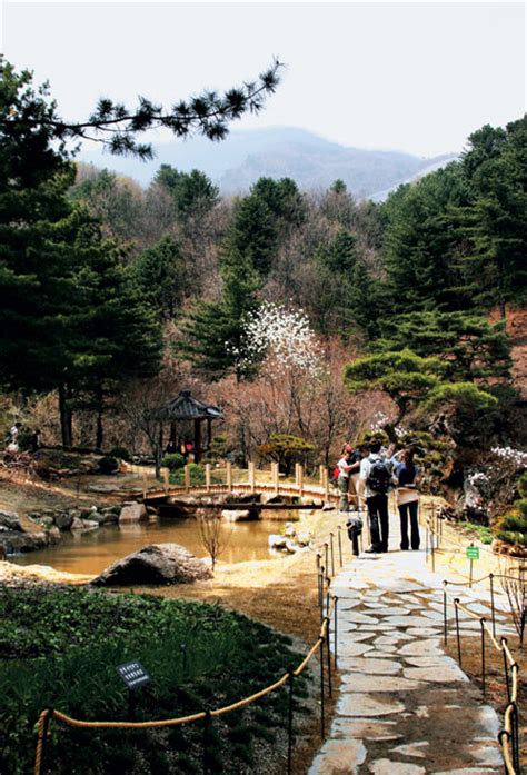 자연 속의 쉼 터 아침고요수목원 월간조선