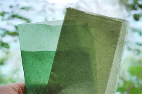 究極のエコ容器 インドネシア発、パッケージも丸ごと食べられる「edible Packaging」 Getnavi Web ゲットナビ