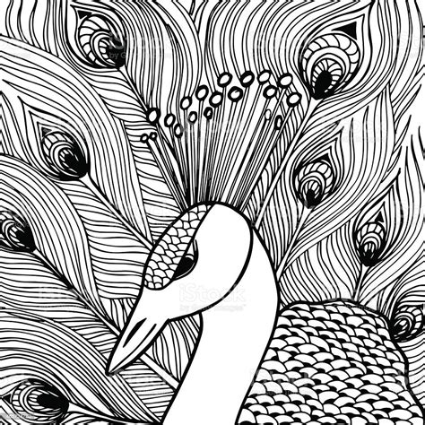 Decorative Ornamental Peacock Stock Illustration Download Image Now