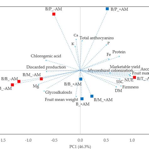 Principal Component Loading Plot And Scores Of The Principal Component