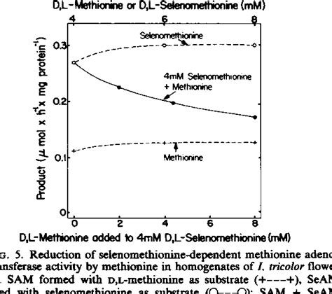 Figure 2 From Interactions Of Methionine And Selenomethionine With
