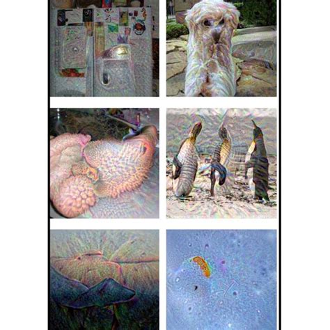 Examples Of Physical Adversarial Example For General Classification Download Scientific Diagram