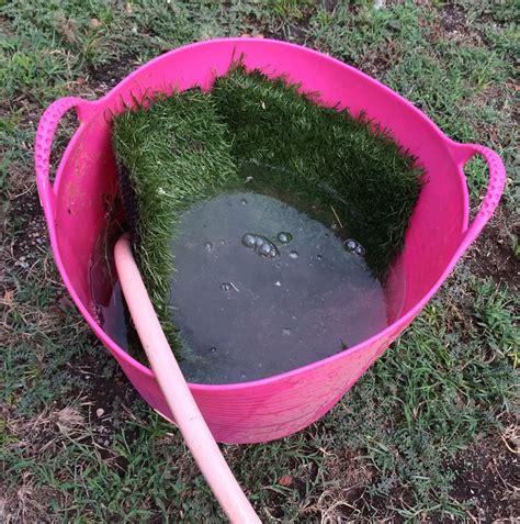 Diy Easy Clean Chicken Nesting Box Liners Hawk Hill