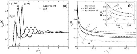 Binary Suspension Of Super Paramagnetic Particles With System