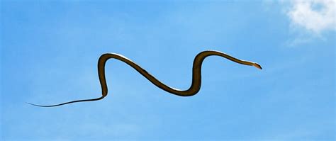 Have You Had To Make Your Python Code Run Fast Dev Community