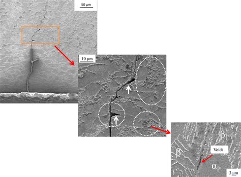 Sem Micrograph Of Crack Profile Under Ip Tmf Loading Showing