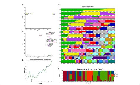 Bioinformatic Analysis Of 39 Lonicera Varieties Based On Single