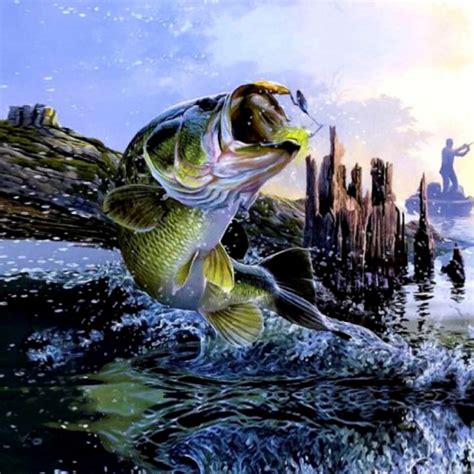 Bass Jumping 24 Pattern Crew