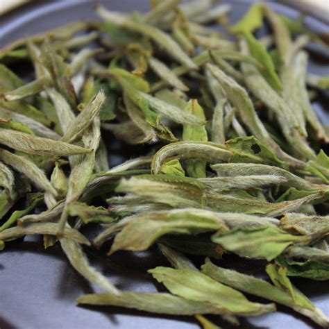 福鼎白茶牡丹福鼎白茶白牡丹福鼎白茶白牡丹第5页大山谷图库