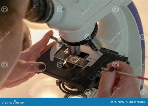 The Girl In The Lab Works With A Microscope Stock Image Image Of