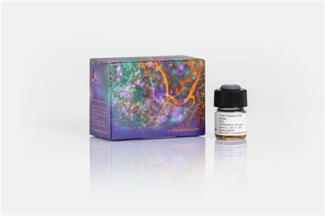 Car T Cell Workflow Streamline Your Car T Cell Research Miltenyi Biotec Usa