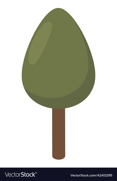 Pine Tree Plant Isometric Royalty Free Vector Image