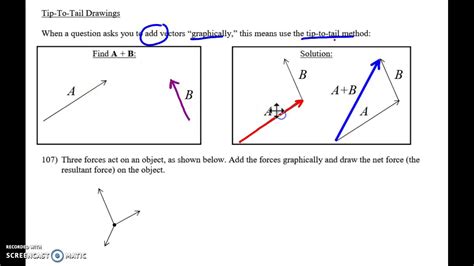 Ib Physics Review Vectors And Scalars Youtube