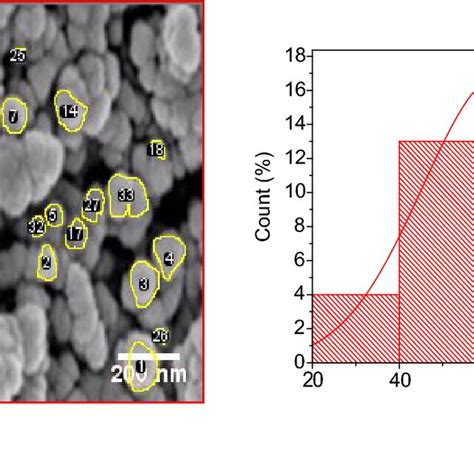 a sem image and b average particle size distribution histogram