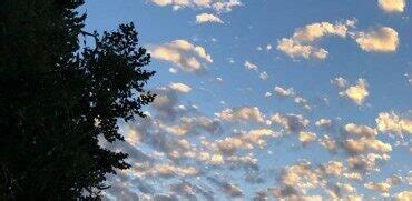 Center For Tree Ring Science